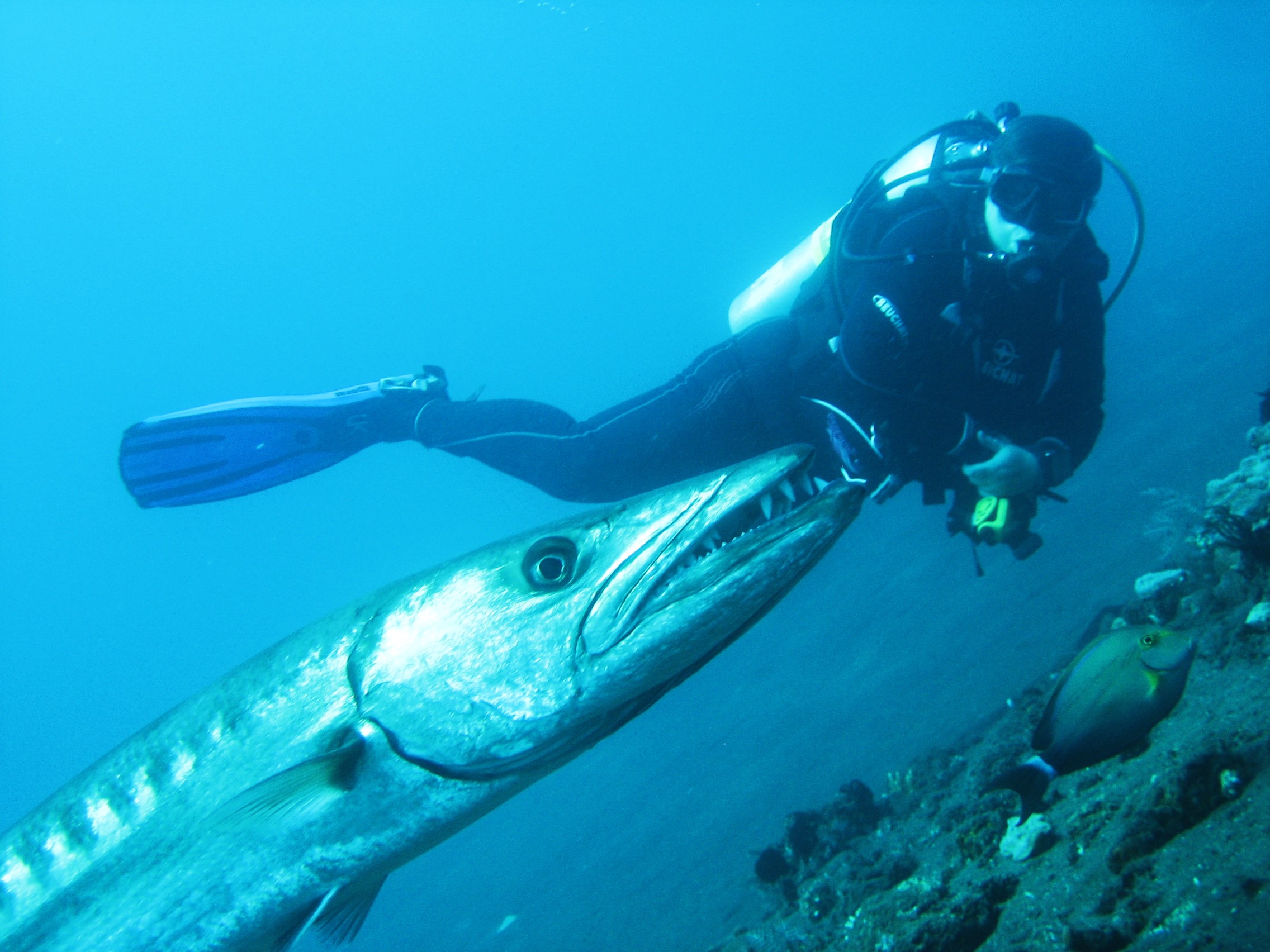 Deutschland kalt – Bali heiß – 15 Tage im Februar 2023 › Junge ...